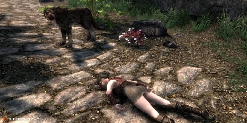 Skyrim: The 6 Best Mods For A Necromancer Playthrough