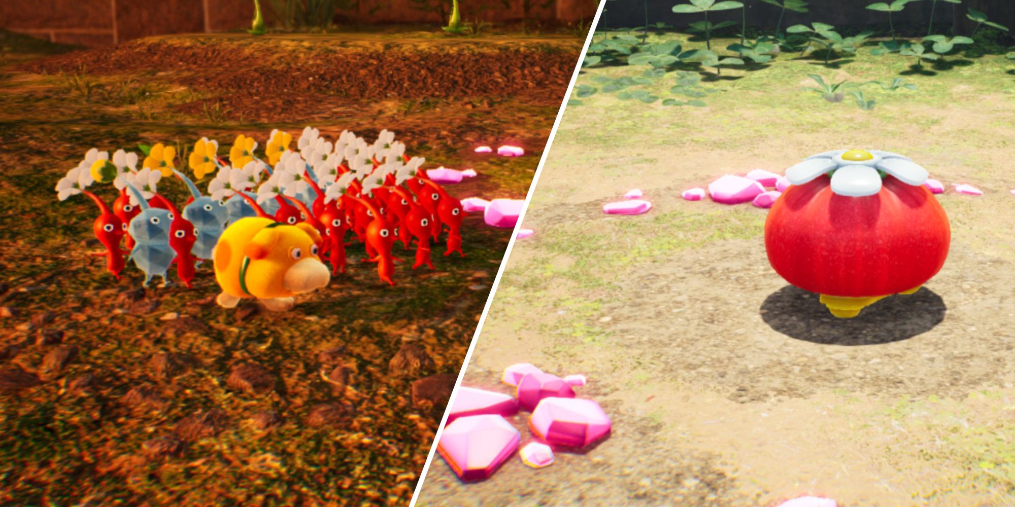Explained: What Are Pikmin?