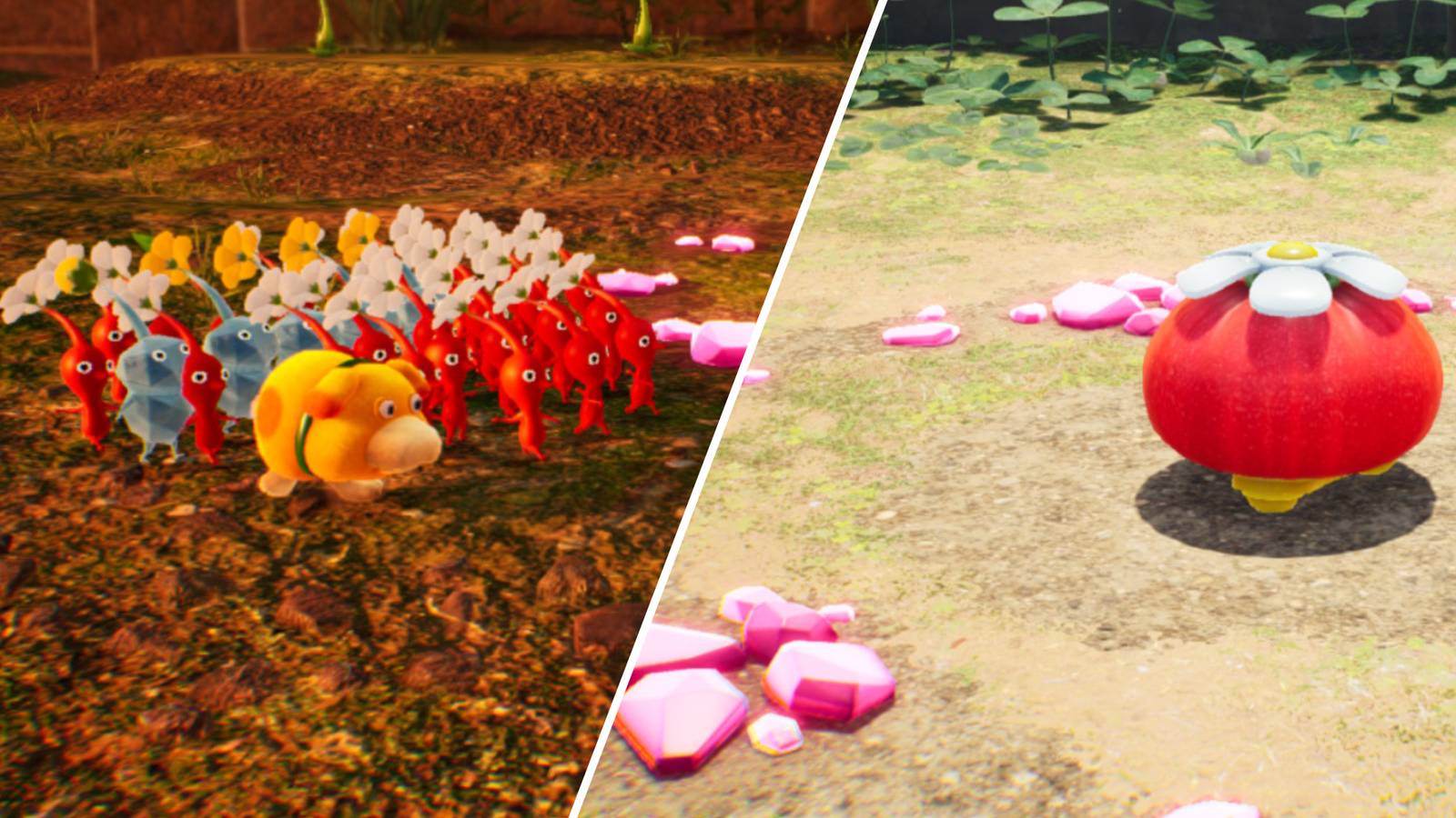Explained: What Are Pikmin?
