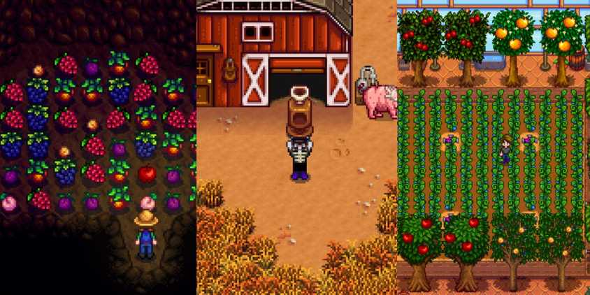 The Most Expensive Items In Stardew Valley