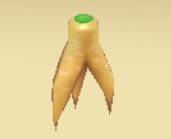 All Custom Crop Recipes In Story Of Seasons: A Wonderful Life
