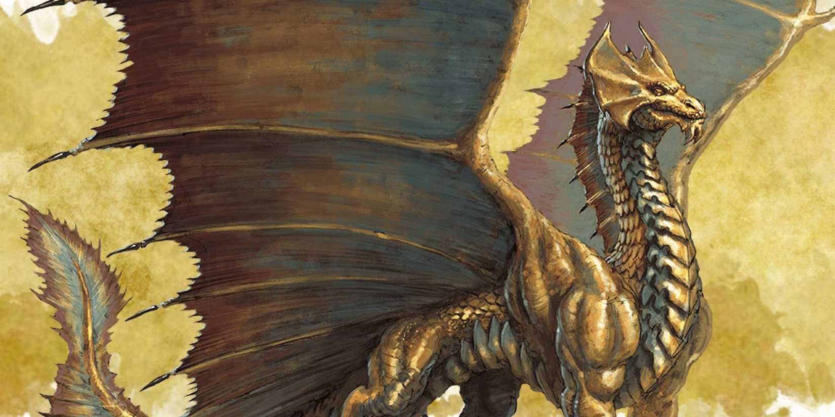 The Meaning Of Every Dragon Color In DND