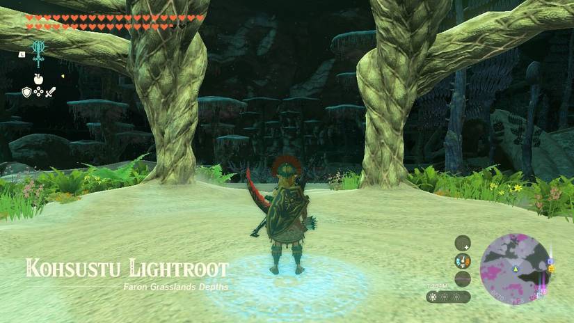 Every Lightroot And Its Coordinates In The Legend Of Zelda: Tears Of ...