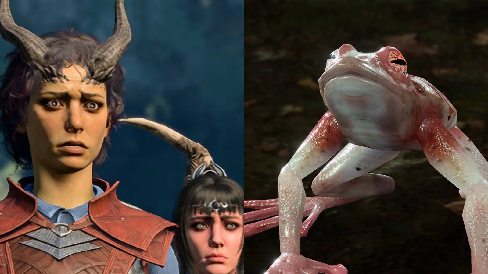 What Should You Do With The Addled Frog In Baldur's Gate 3?