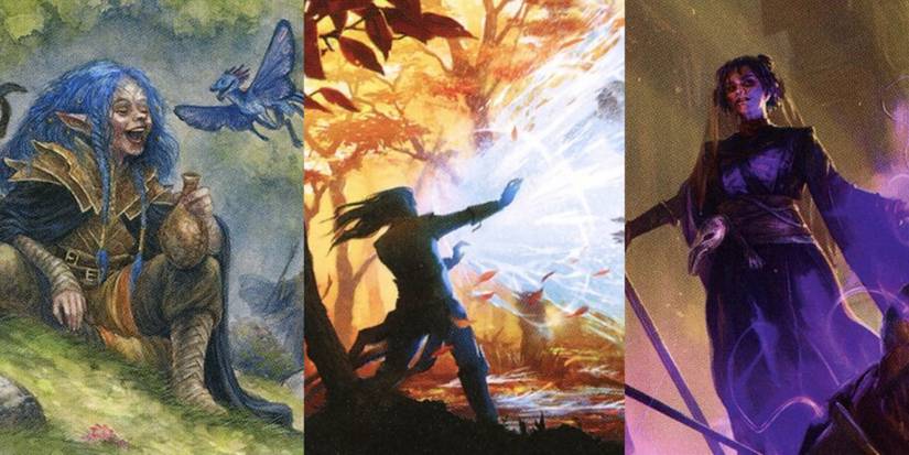 How To Build A Wild Magic Sorcerer In DND