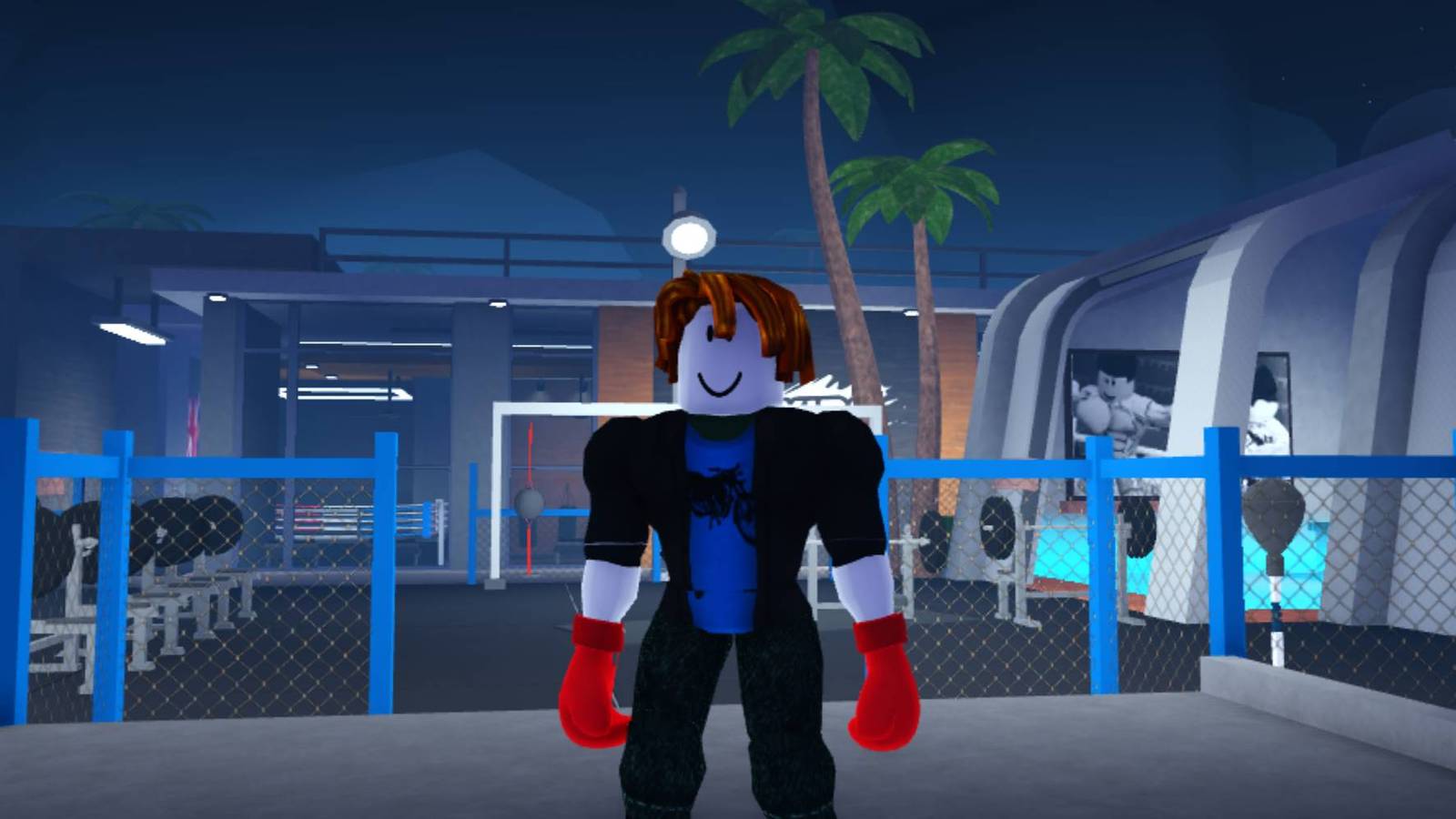 Boxing Beta Codes - Roblox