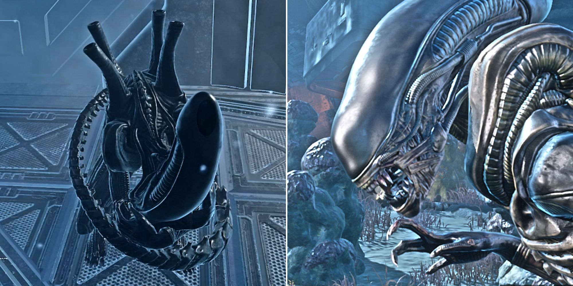 Best Perks And Play Style For The Xenomorph In Dead By Daylight