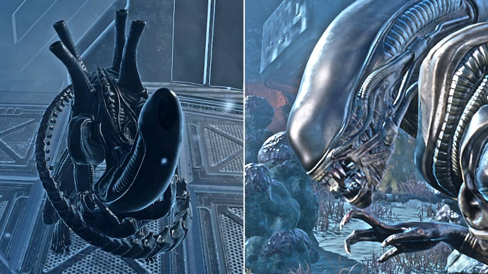 Best Perks And Play Style For The Xenomorph In Dead By Daylight