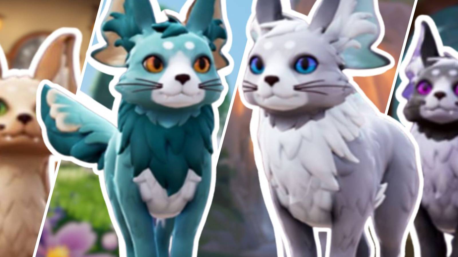 The Best Cats In Palia