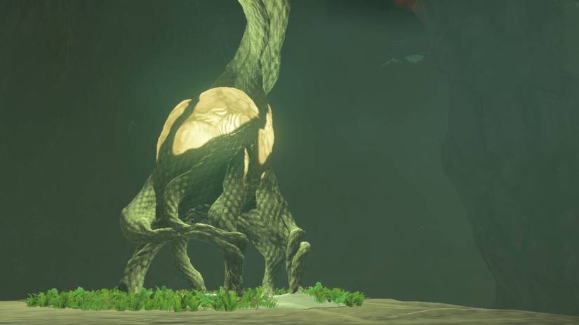 Every Lightroot And Its Coordinates In The Legend Of Zelda: Tears Of ...