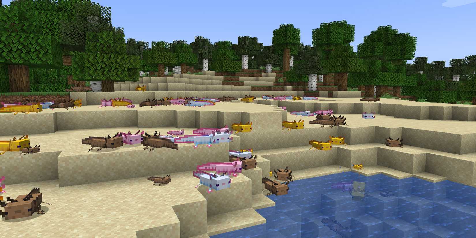 How To Get The Rare Blue Axolotl In Minecraft