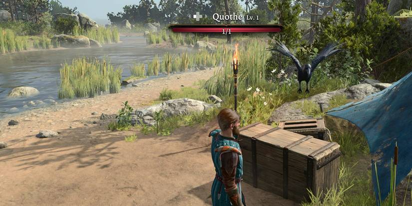 Baldur's Gate 3: Best References And Hidden Details