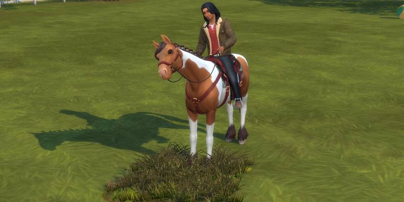 How Do You Win Horse Competitions In The Sims 4: Horse Ranch?