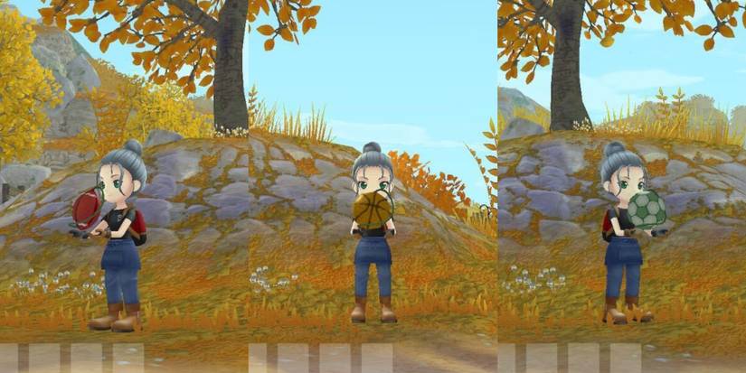 Best Custom Crops In Story Of Seasons: A Wonderful Life