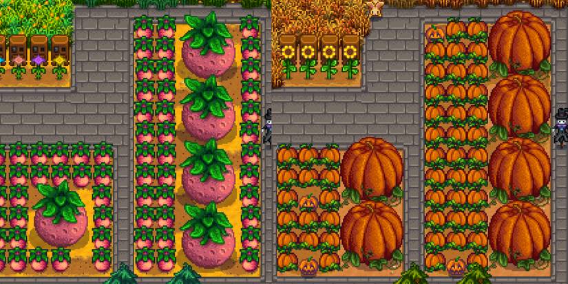How To Grow Giant Crops In Stardew Valley