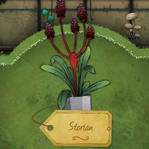 All Plant Locations In Strange Horticulture