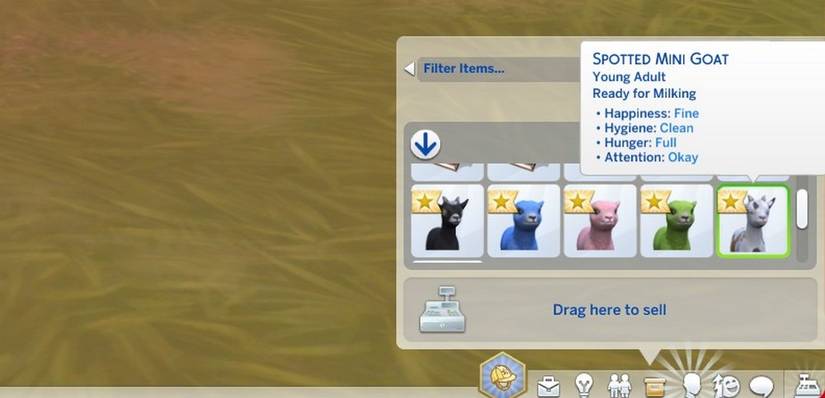 Where To Get Sheep And Goats In The Sims 4: Horse Ranch