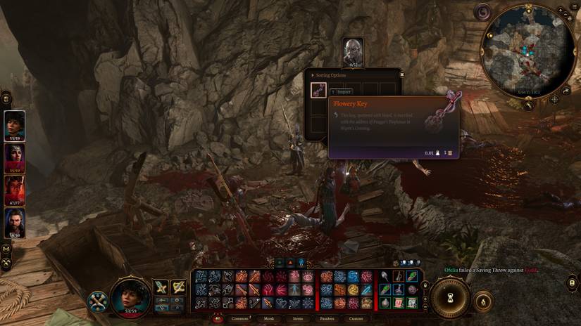 What To Do With The Flowery Key In BG3