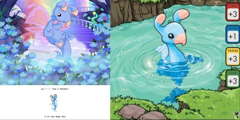 The Best Petpets In Neopets