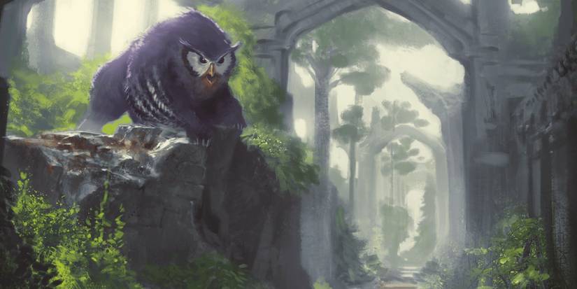 DND: Complete Guide To Phandelver And Below The Shattered Obelisk