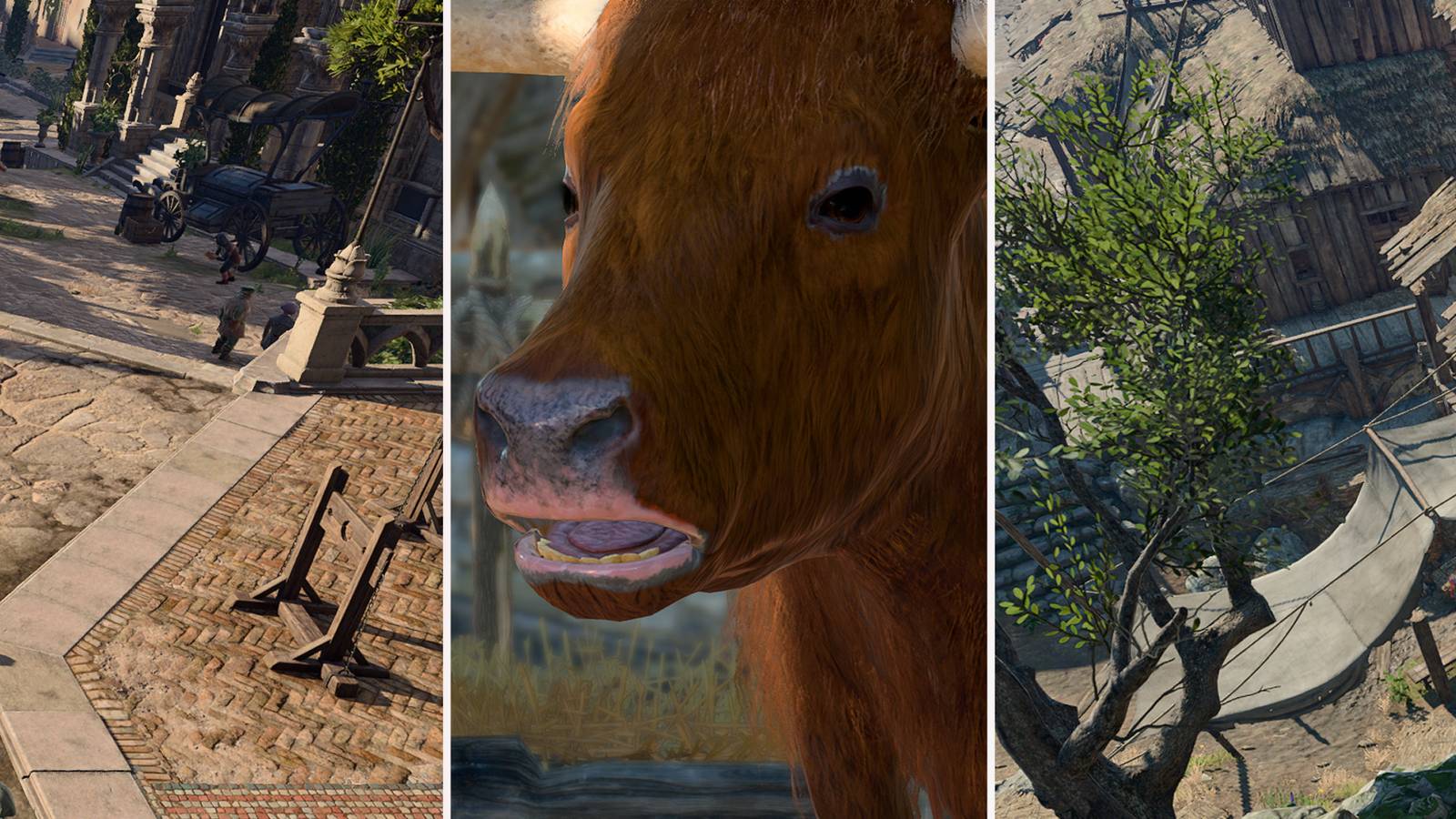 How To Get The Strange Ox Into The Lower City In Baldur's Gate 3
