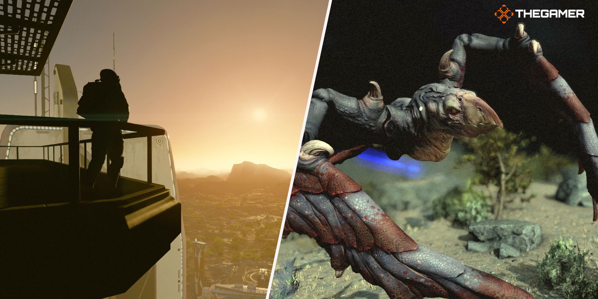 All Flora, Fauna, And Resources On Jemison In Starfield