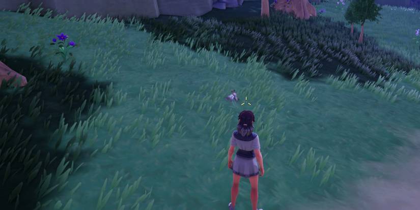 Where To Find Every Bug In Palia