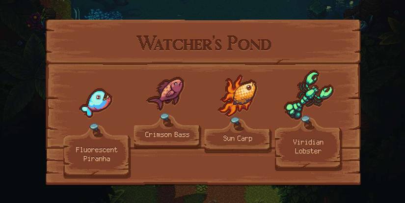 How To Fish In Sea Of Stars