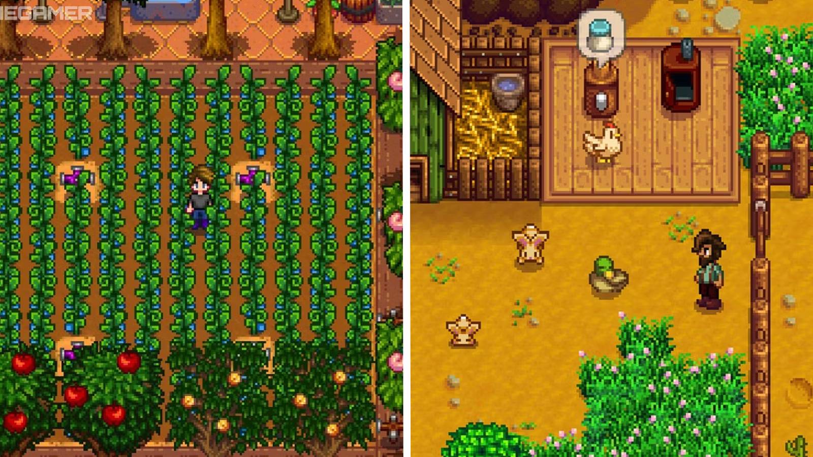 The Best Fall Activities in Stardew Valley