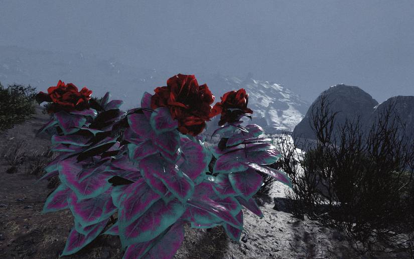 All Flora, Fauna, And Resources On Jemison In Starfield