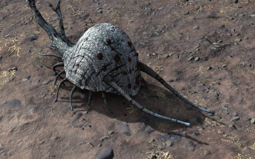 All Flora, Fauna, And Resources On Jemison In Starfield