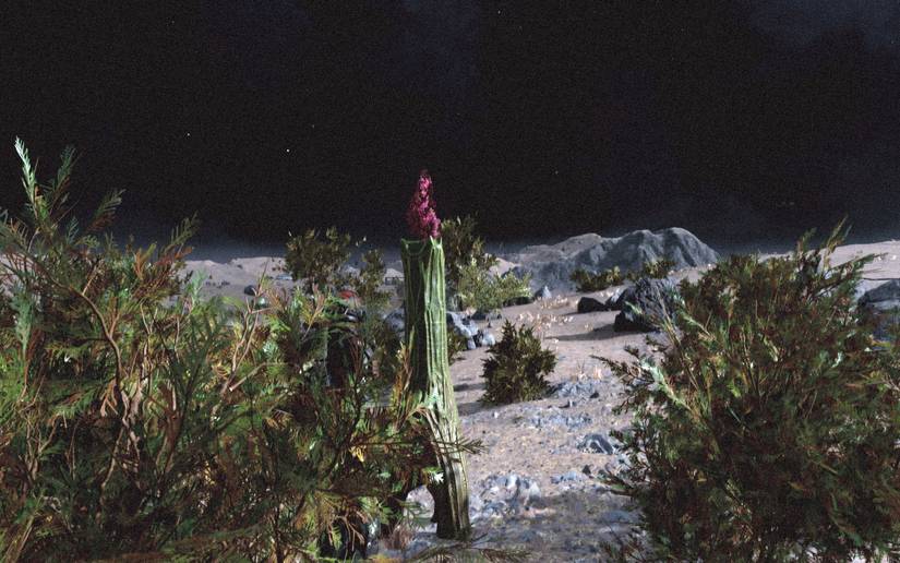 All Flora, Fauna, And Resources On Jemison In Starfield