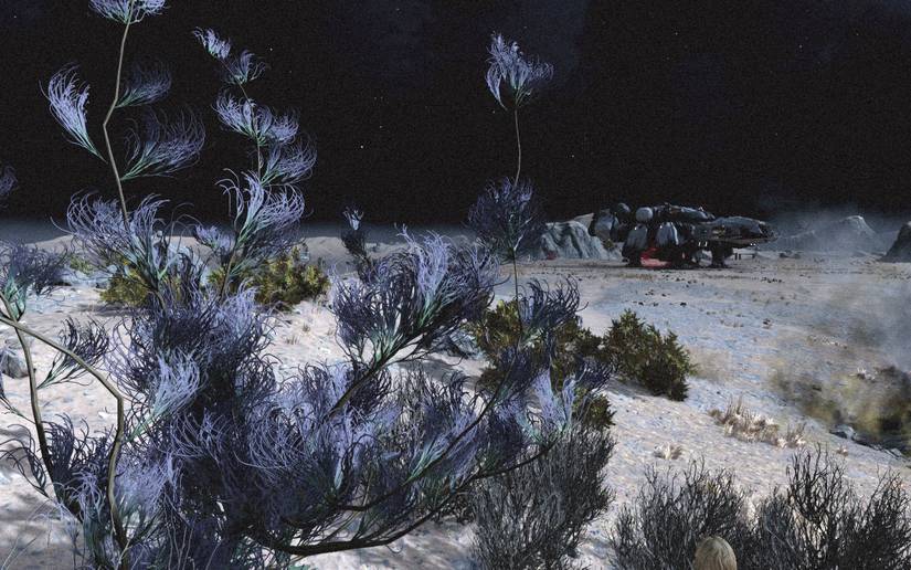 All Flora, Fauna, And Resources On Jemison In Starfield