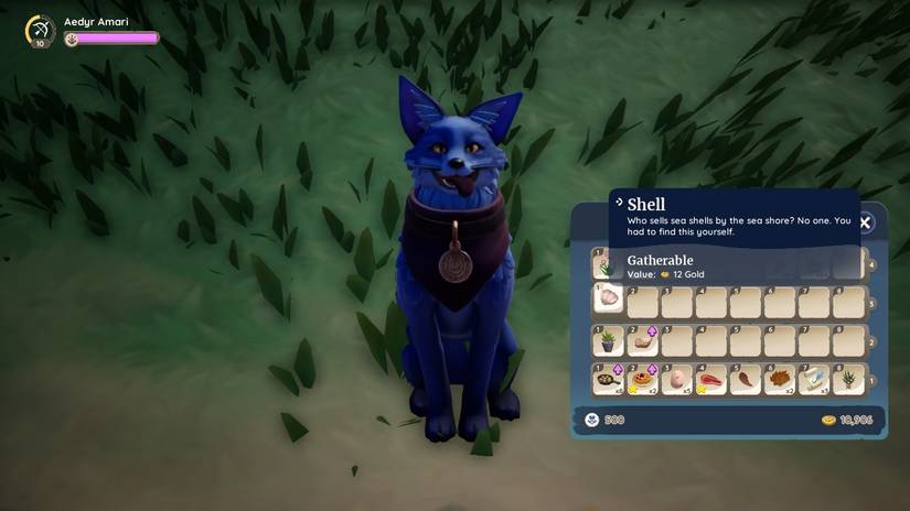 Where To Find Shells In Palia