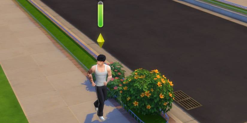 What Is The Best Way To Build Fitness In Sims 4?