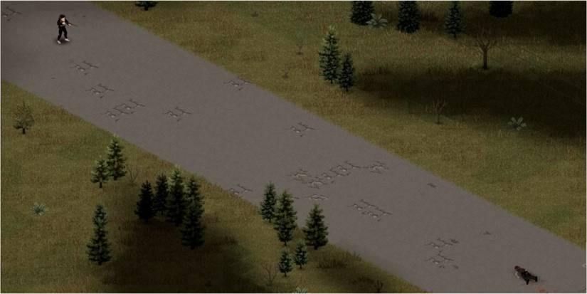 The Best Guns In Project Zomboid