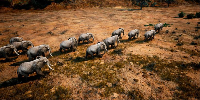 Best Animal Survival Games For PC