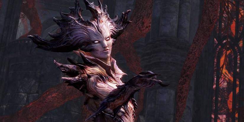 What Are The Kryptis In Guild Wars 2?
