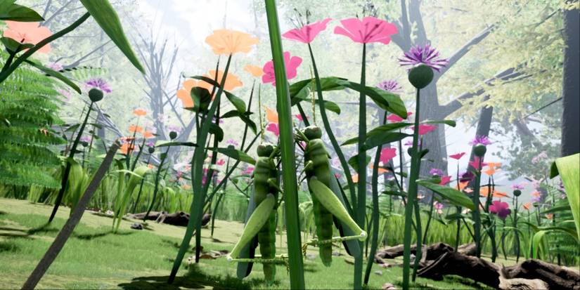 Best Animal Survival Games For PC