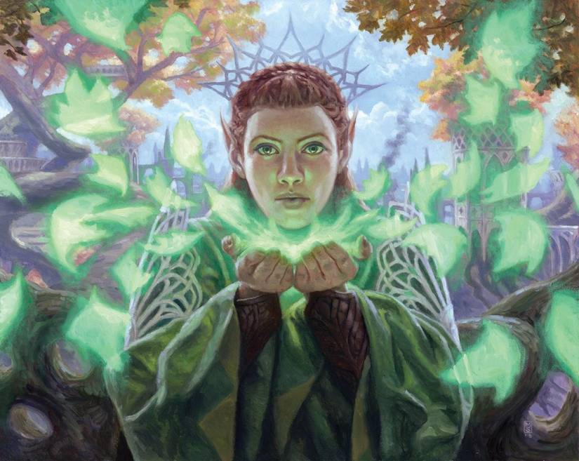 How To Build A Circle Of Dreams Druid In DnD