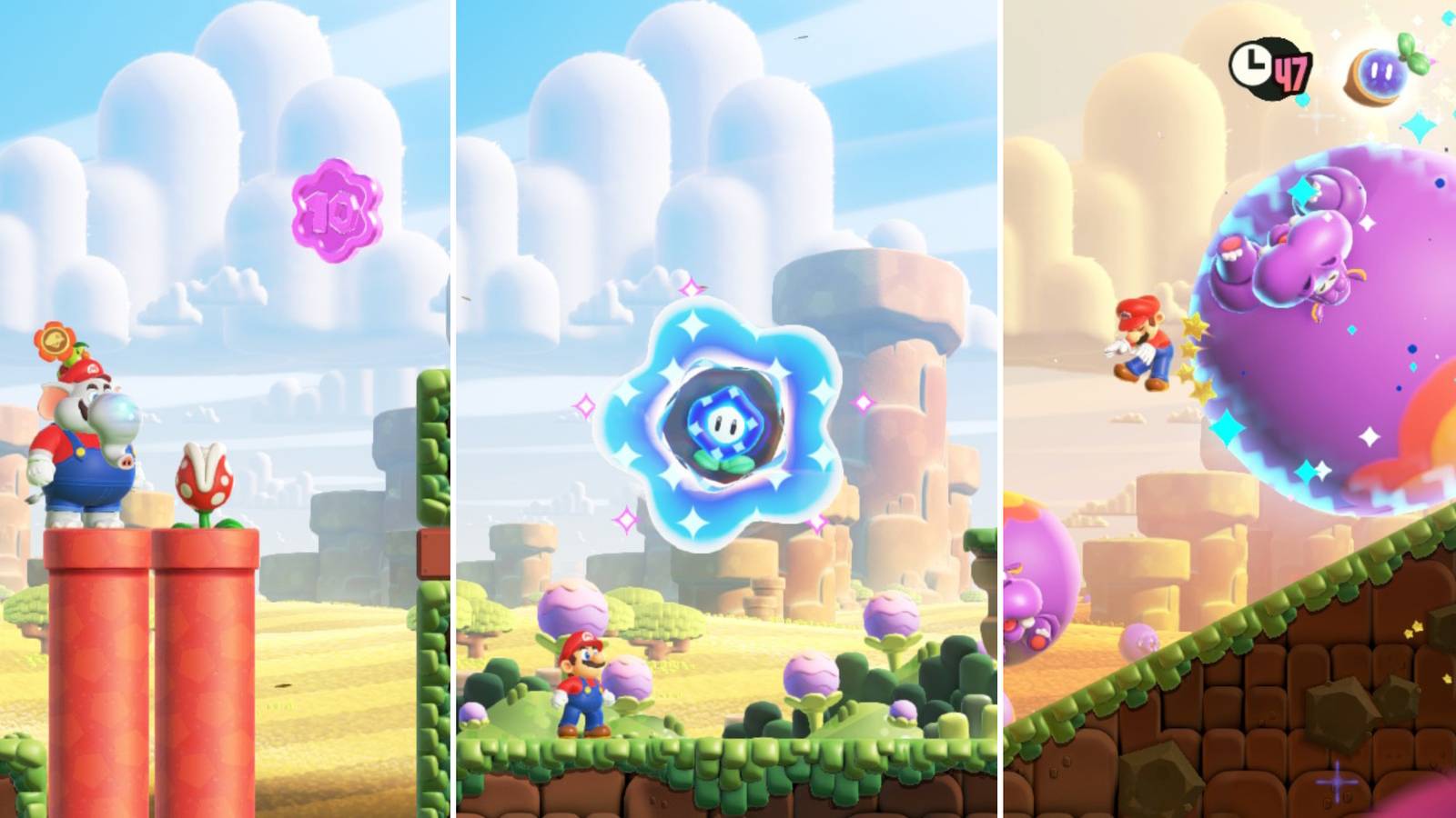 How To Find All The Flower Coins And Wonder Seeds In Here Come The ...