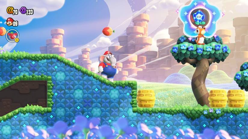 How To Get All Flower Coins And Wonder Seeds In Scram, Skedaddlers! In ...