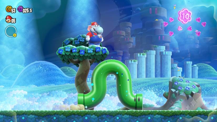 All Flower Coins And Wonder Seeds In Welcome To Flower Kingdom In Super ...