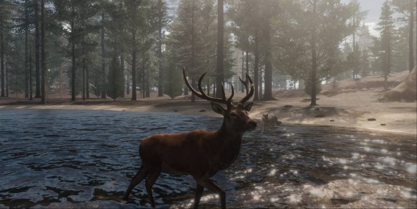 Best Animal Survival Games For PC