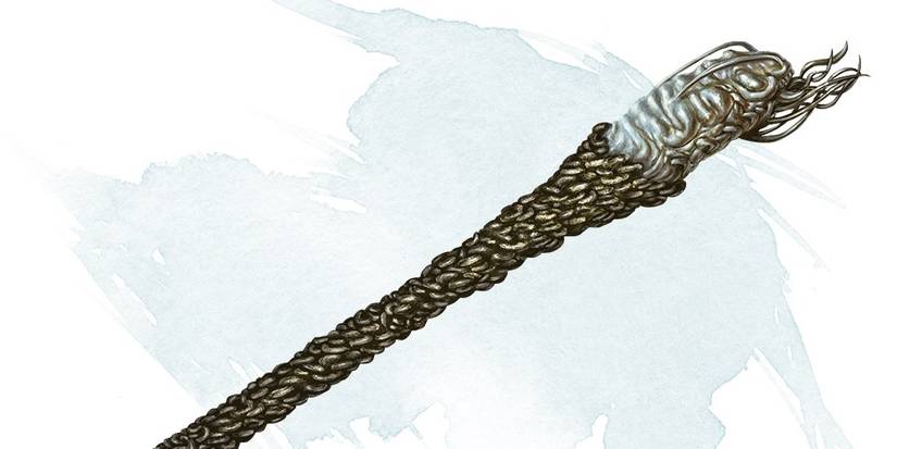 The Best Wands In DnD