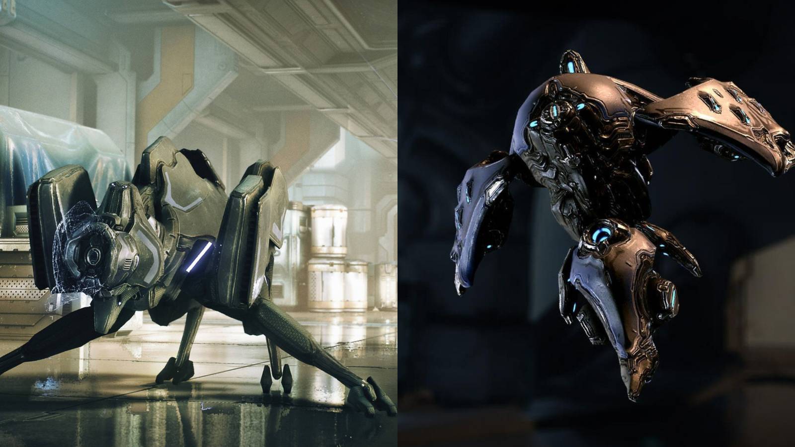 The Best Companions In Warframe, Ranked