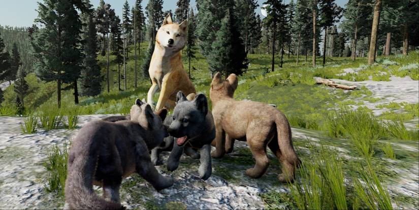 Best Animal Survival Games For PC