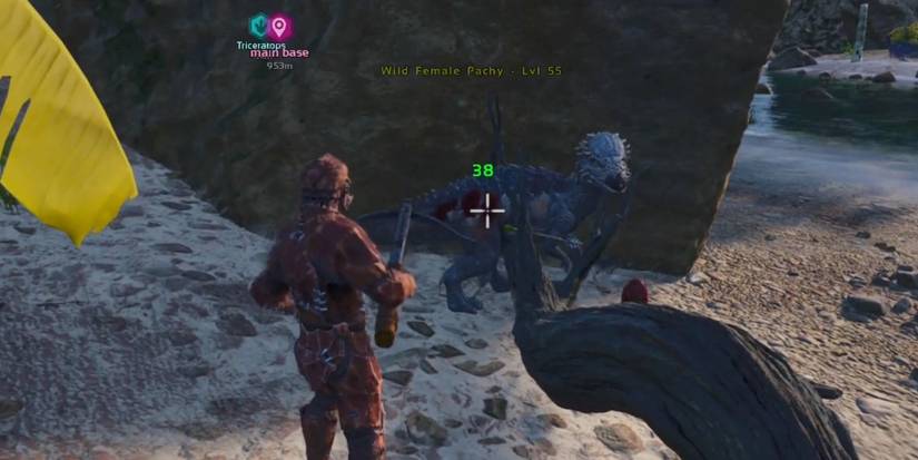 Complete Pachy Taming Guide In Ark: Survival Ascended