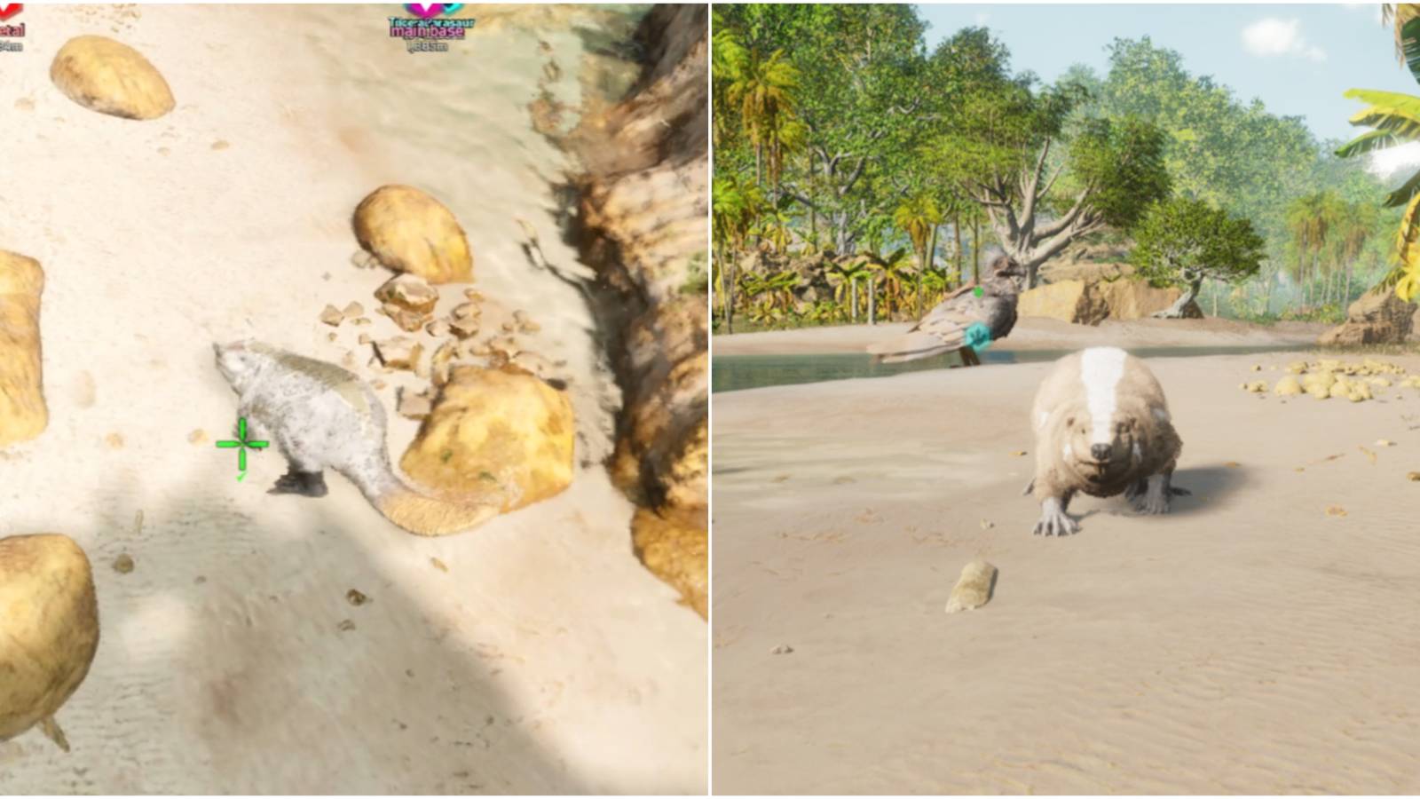 How To Tame A Beaver In Ark: Survival Ascended