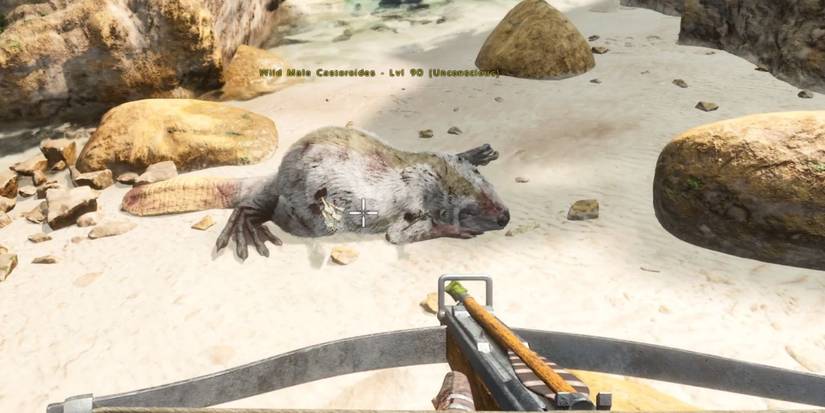 How To Tame A Beaver In Ark: Survival Ascended